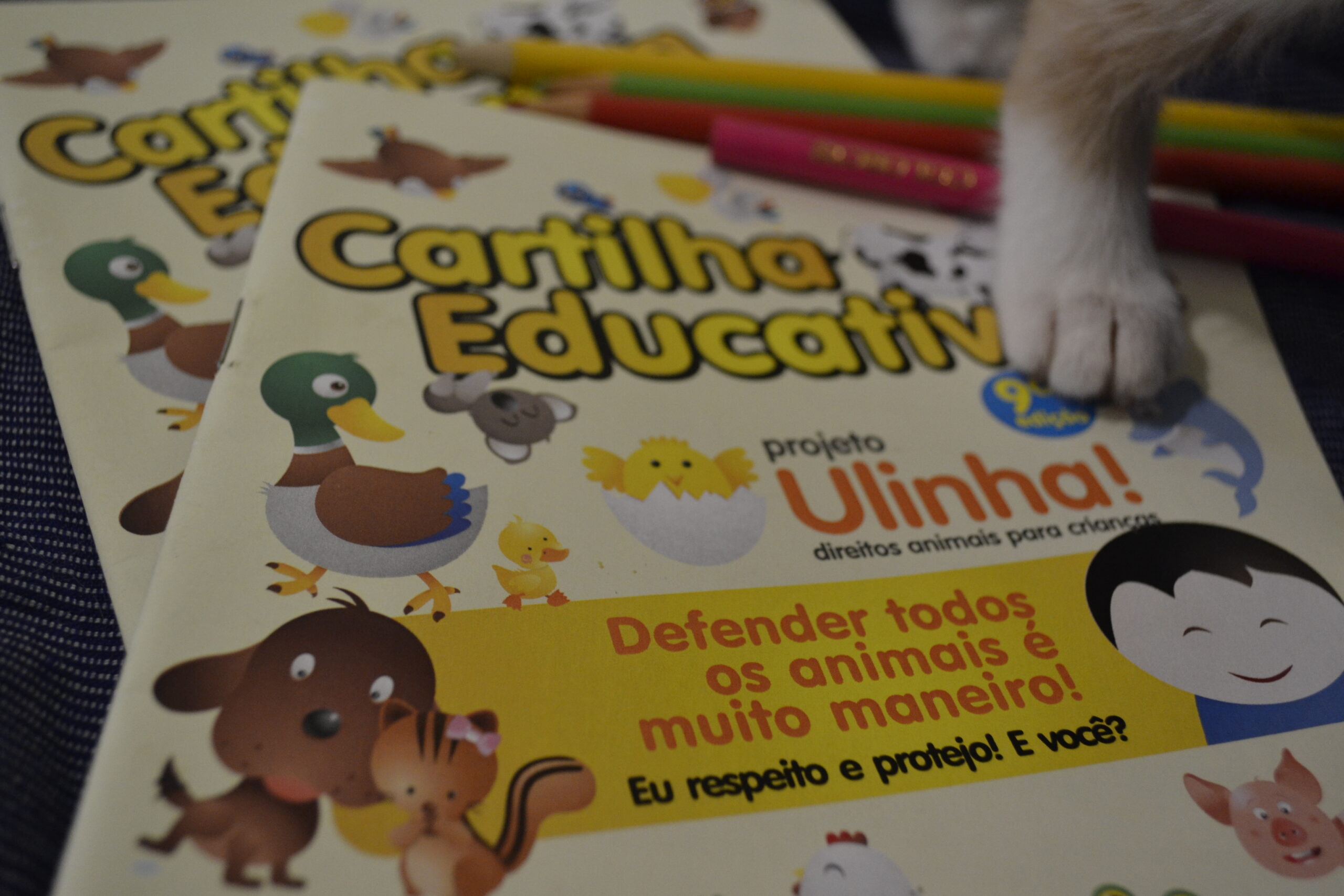 Cartilha ensina direitos animais para crianças por meio de passatempos ...