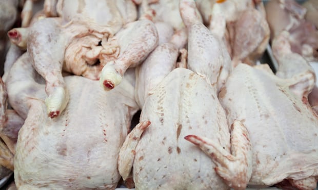 Supermercados vendem frango com níveis recordes de superbactérias - ANDA