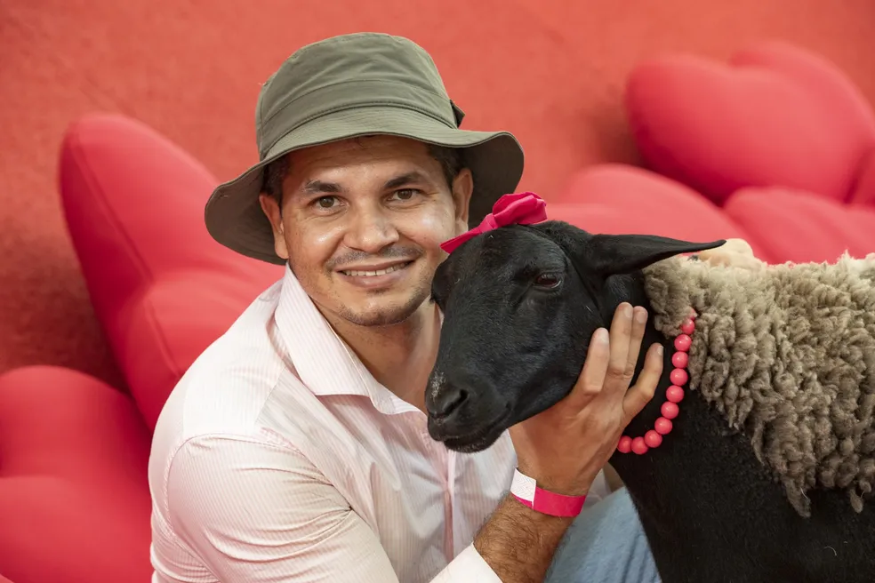 Homem adota ovelha após depressão e burnout e mostra como o amor pelos ...
